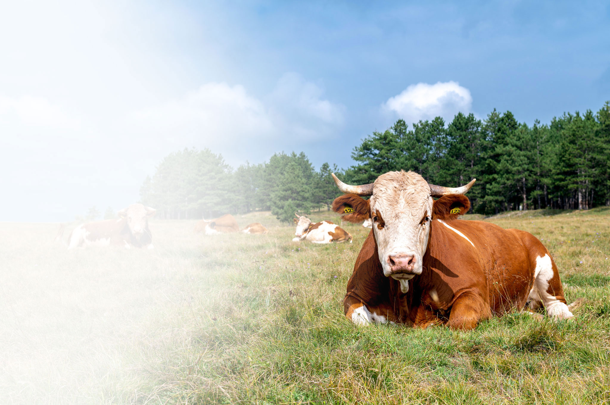 GDS Calvados | L'action sanitaire ensemble